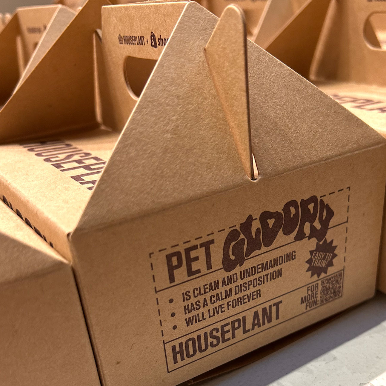 Pet Gloopy – HOUSEPLANT